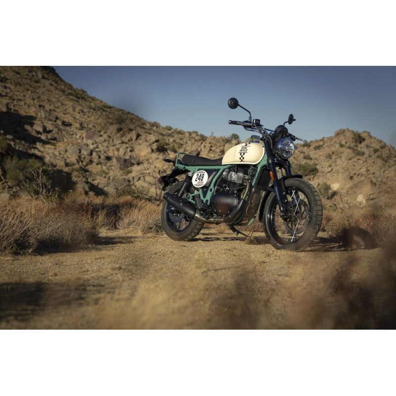 Bear 650 Two Four Nine